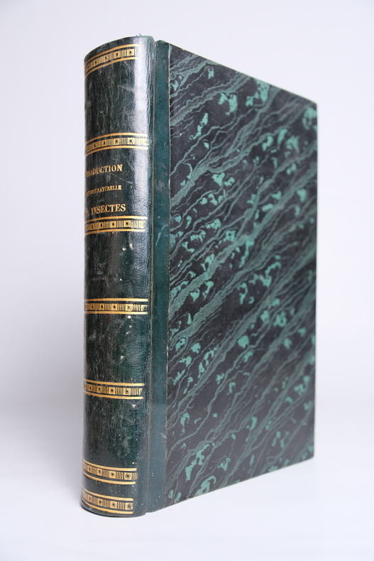 LALANNE (Jean-Philippe-Auguste) - Introduction à l’histoire naturelle d ...