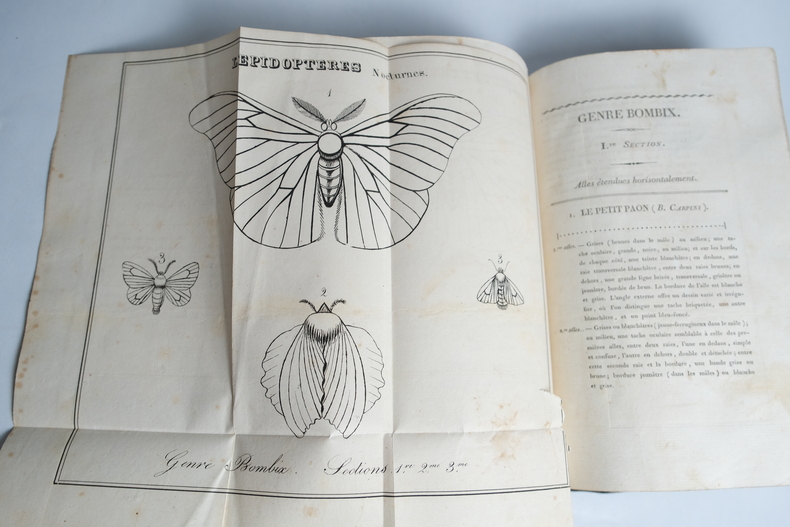 LALANNE (Jean-Philippe-Auguste) - Introduction à l’histoire naturelle d ...